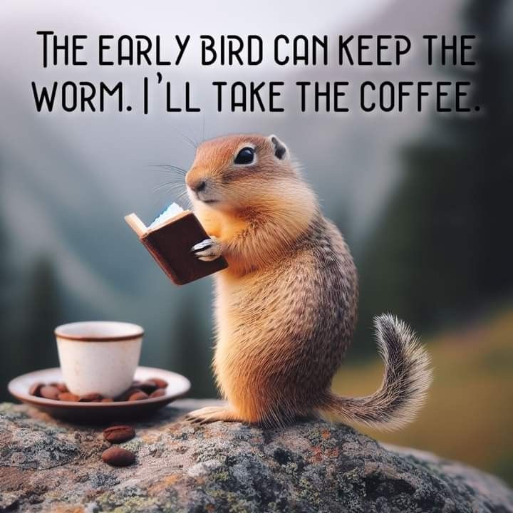 Top Good Morning Memes to Make You Smile - Life Wisdom Nook