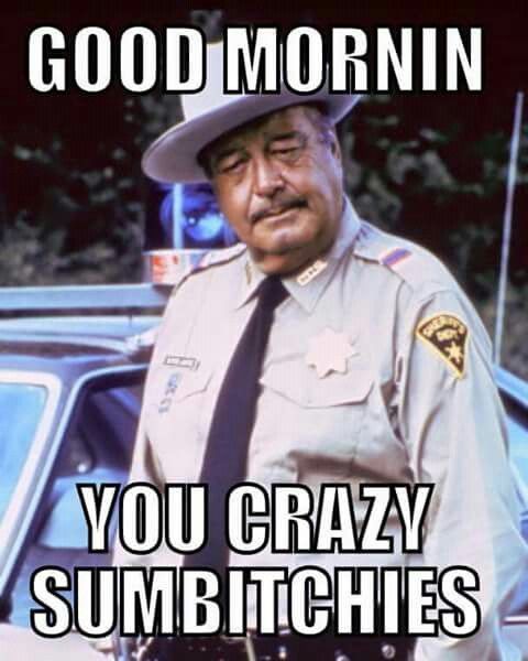 Top Good Morning Memes to Make You Smile - Life Wisdom Nook