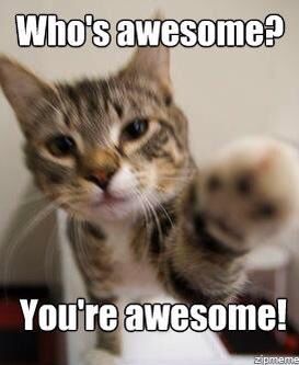 Top Good Morning Memes to Make You Smile - Life Wisdom Nook